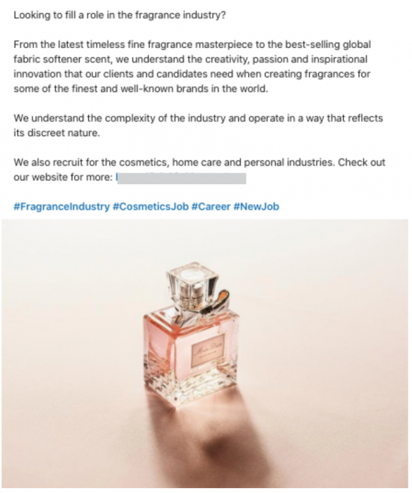 What To Post On Social Media? Content Ideas With Examples